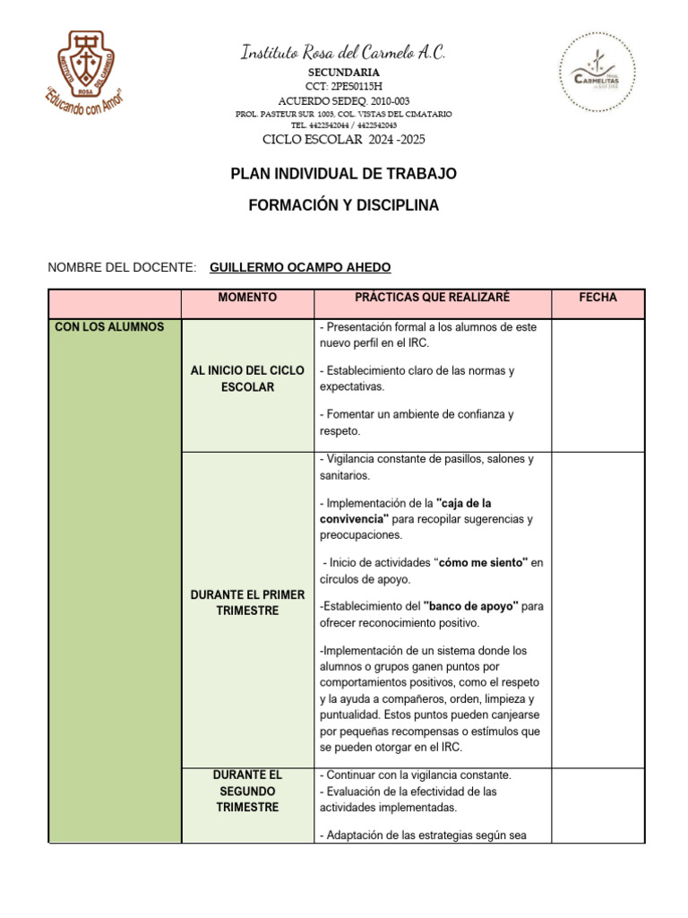 FORMACION Y DISCIPLINA - FORMATO PLAN INDIVIDUAL DE TRABAJO | PDF ...