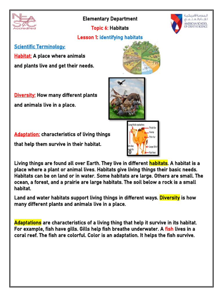 W10. Science rev | PDF | Habitat | Grassland