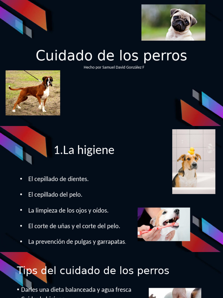 Cuidado de Los Perros | PDF