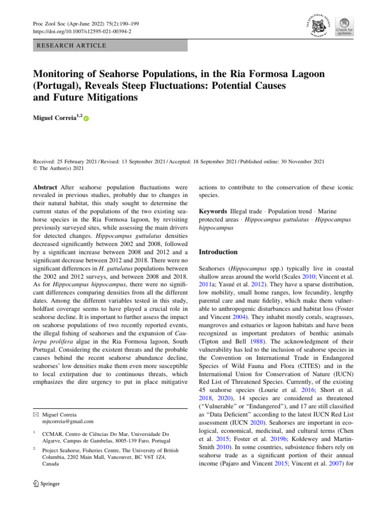 Monitoring of Seahorse Populations, in The Ria Formosa Lagoon (Portugal ...