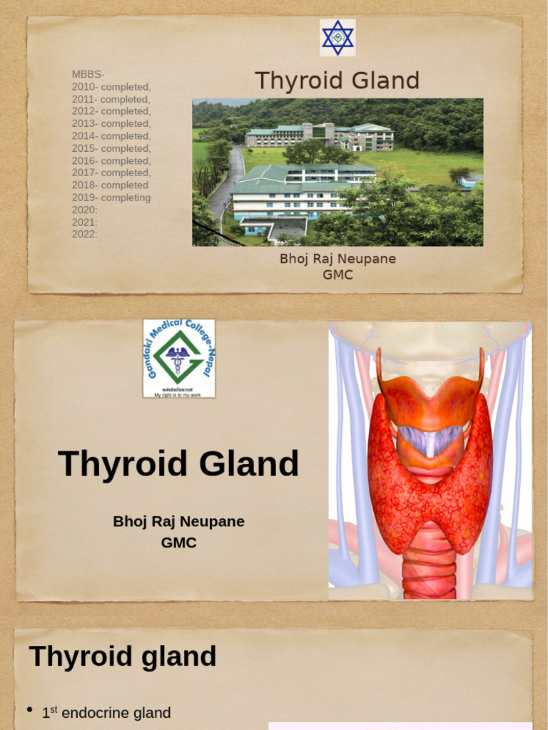 Thyroid | PDF | Thyroid | Hypothyroidism