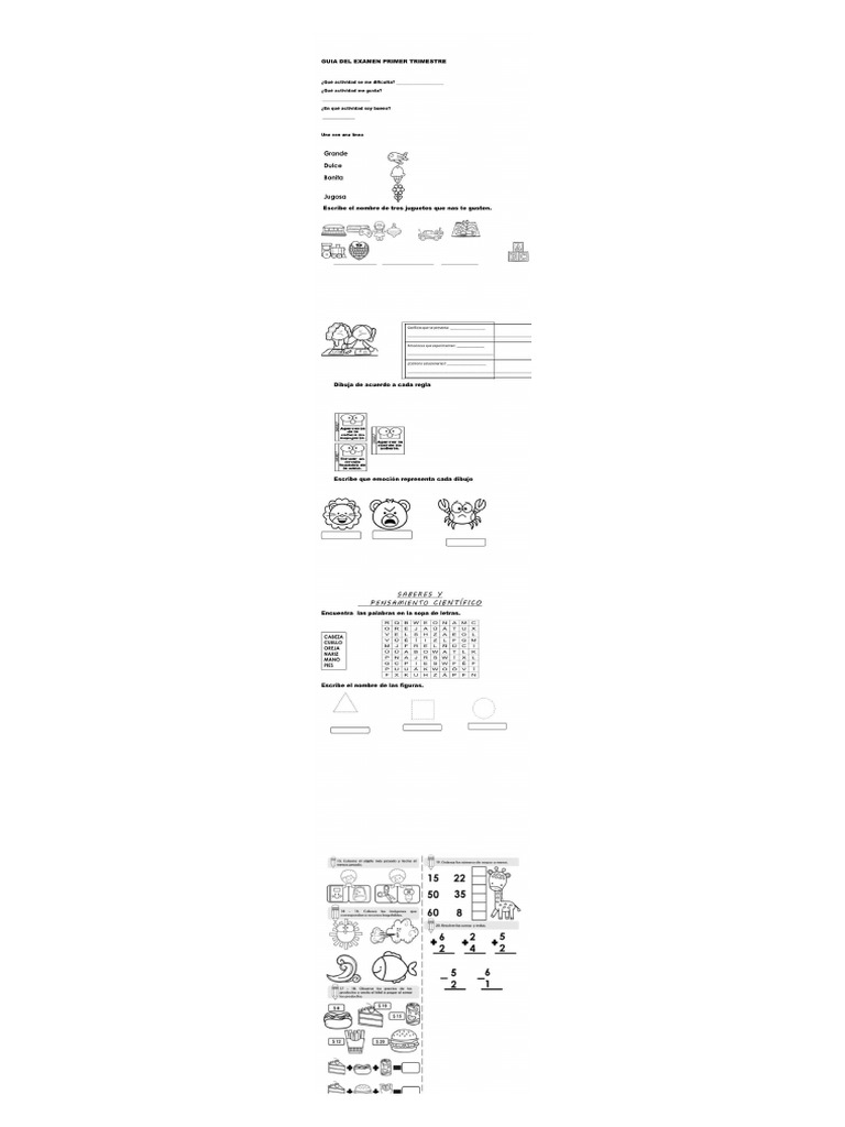 Fusionado 20241110 2252 | PDF