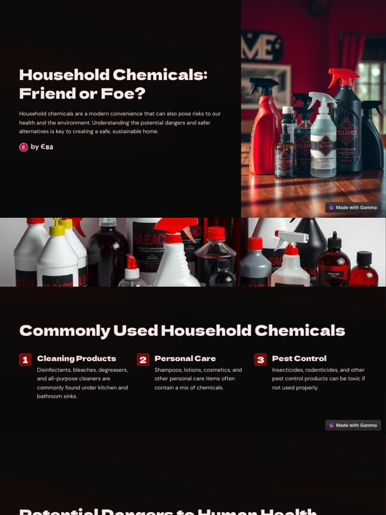 Household Chemicals: Risks and Alternatives | PDF | Household Chemicals ...