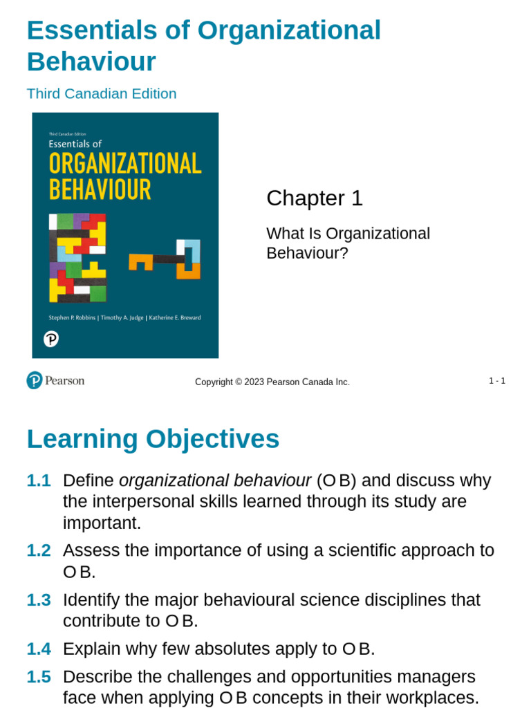 01 Rob Eob 3ce PP ch01 | PDF | Organizational Behavior | Intuition