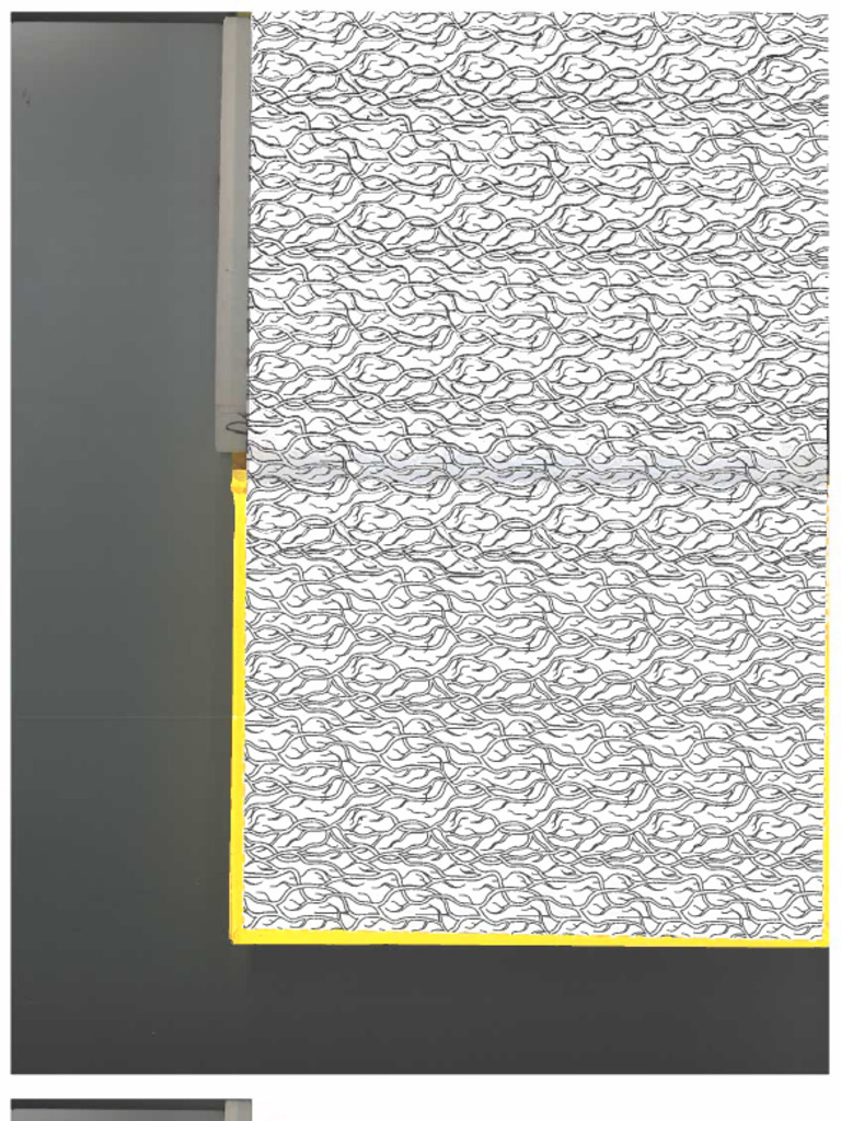 Big Kids - Michael DeForge | PDF