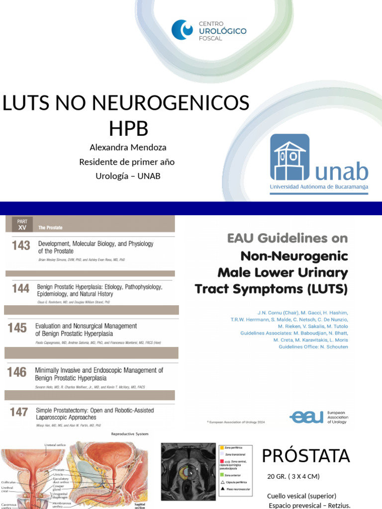 Semi. Luts - Hpb. R1. 2024 | PDF