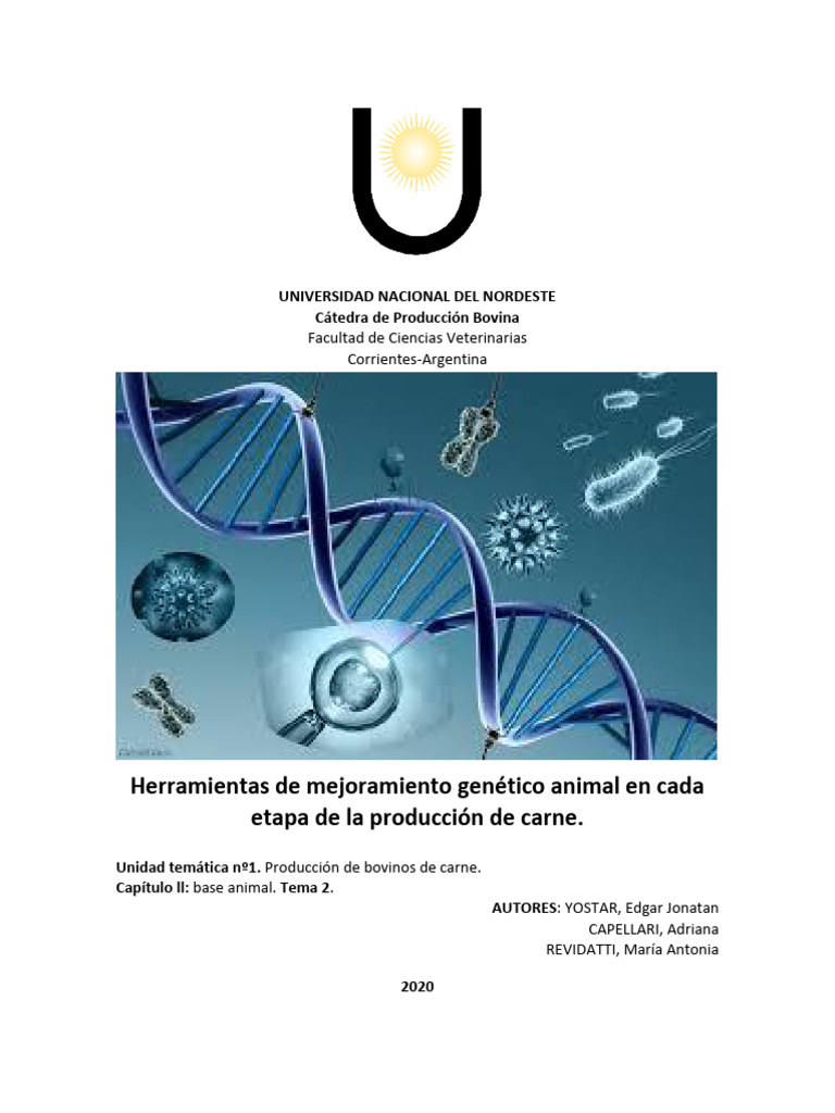 UT1 CII T2 Herramientas de Mejoramiento Genético Animal-2020 | PDF ...