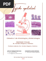 05 Tejidos Epiteliales III Especializaciones Del Dominio Basolateral ...