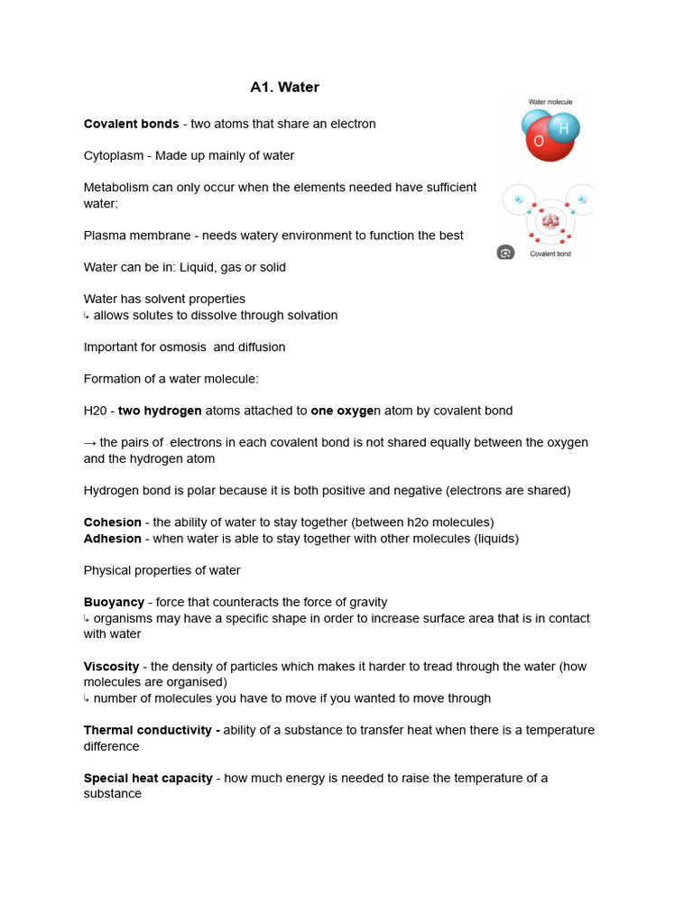 Properties and Functions of Water | PDF