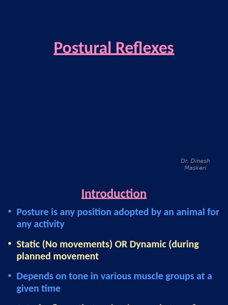 09 Postural Reflexes | PDF | Vestibular System | Anatomical Terms Of Motion