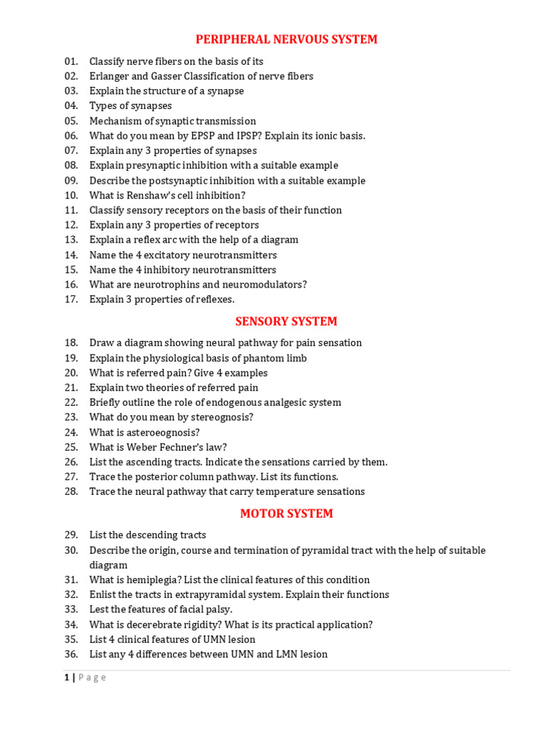 04 CNS Questions | PDF | Synapse | Visual System