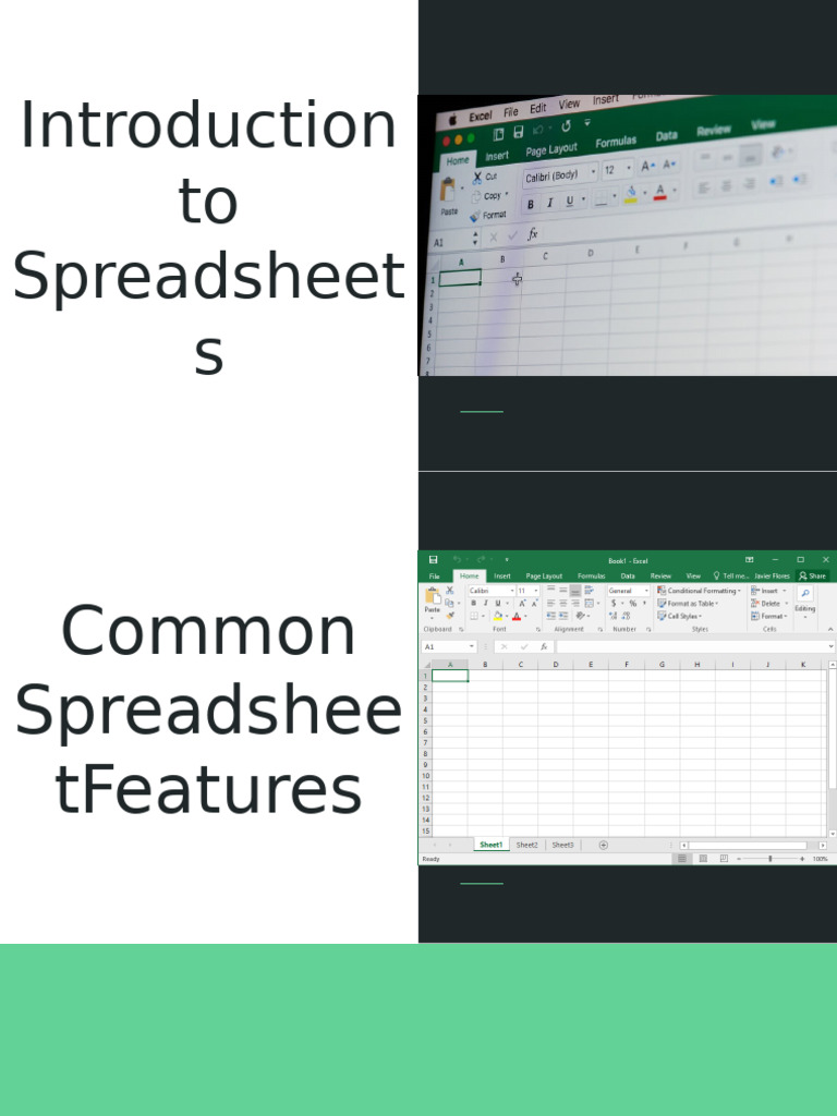 Introduction to Spreadsheet Basics | PDF