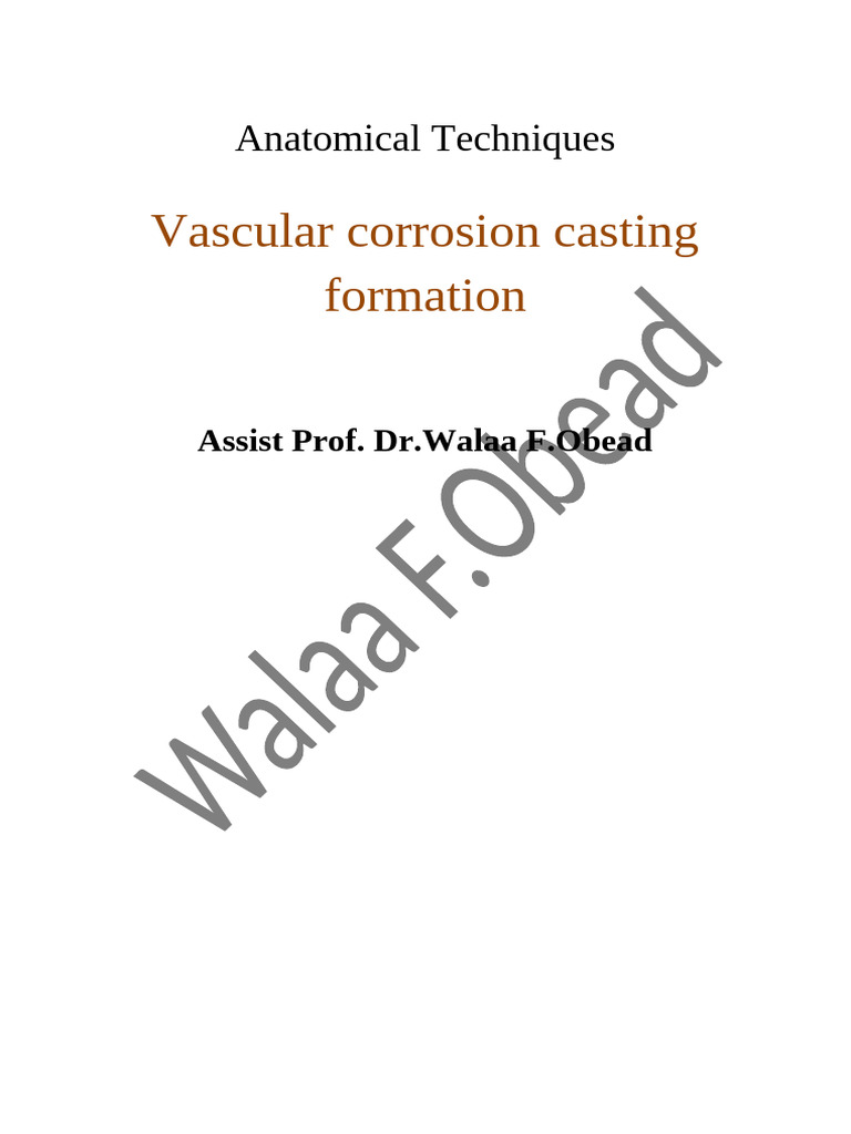 Vascular Corrosion Casting Formation | PDF | Blood Vessel | Sodium ...