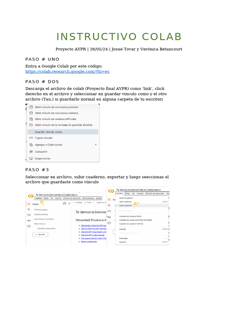 Instructivo Colab | PDF