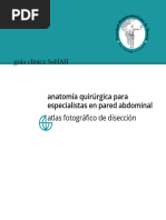 Anatomia de Mesorecto | PDF | Cáncer colonrectal | Cirugía