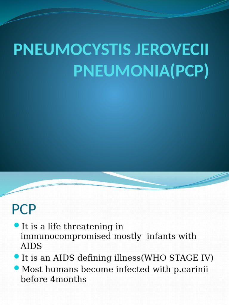 Pneumocystis Jerovecii Pneumonia (PCP) | PDF