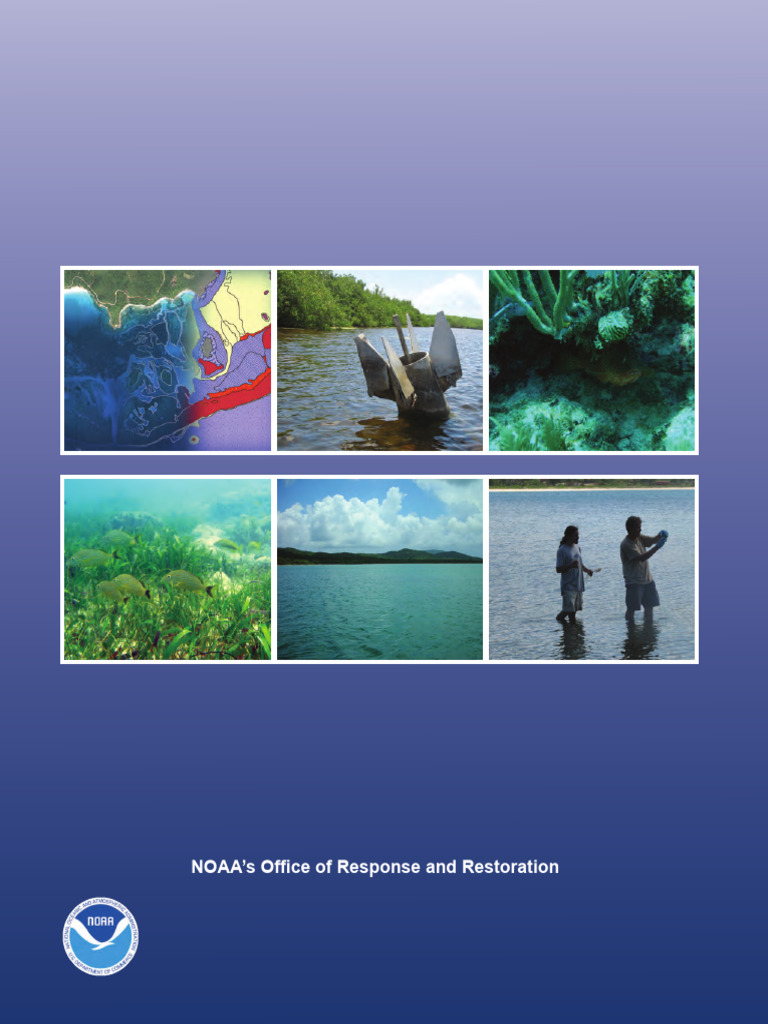 Noaa 717 DS2 | PDF | National Oceanic And Atmospheric Administration ...