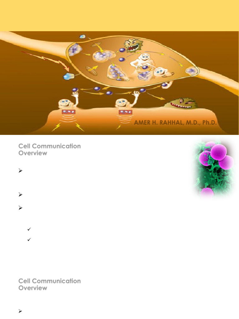 Lecture 3 Cell Communication | PDF | Cell Signaling | Signal Transduction