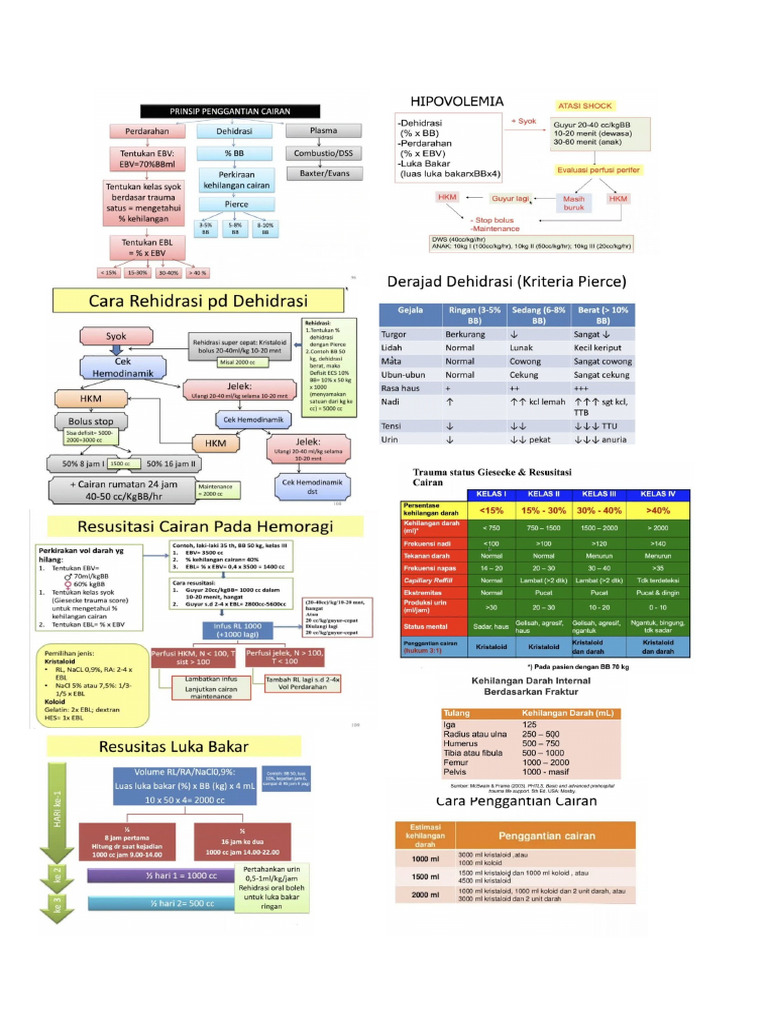 Resusitasi Cairan Picture | PDF