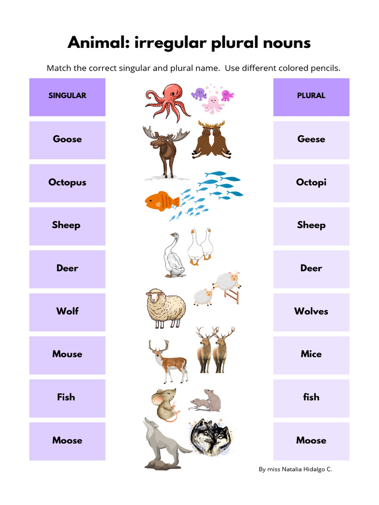 6th Animal Irregular Plural Nouns | PDF