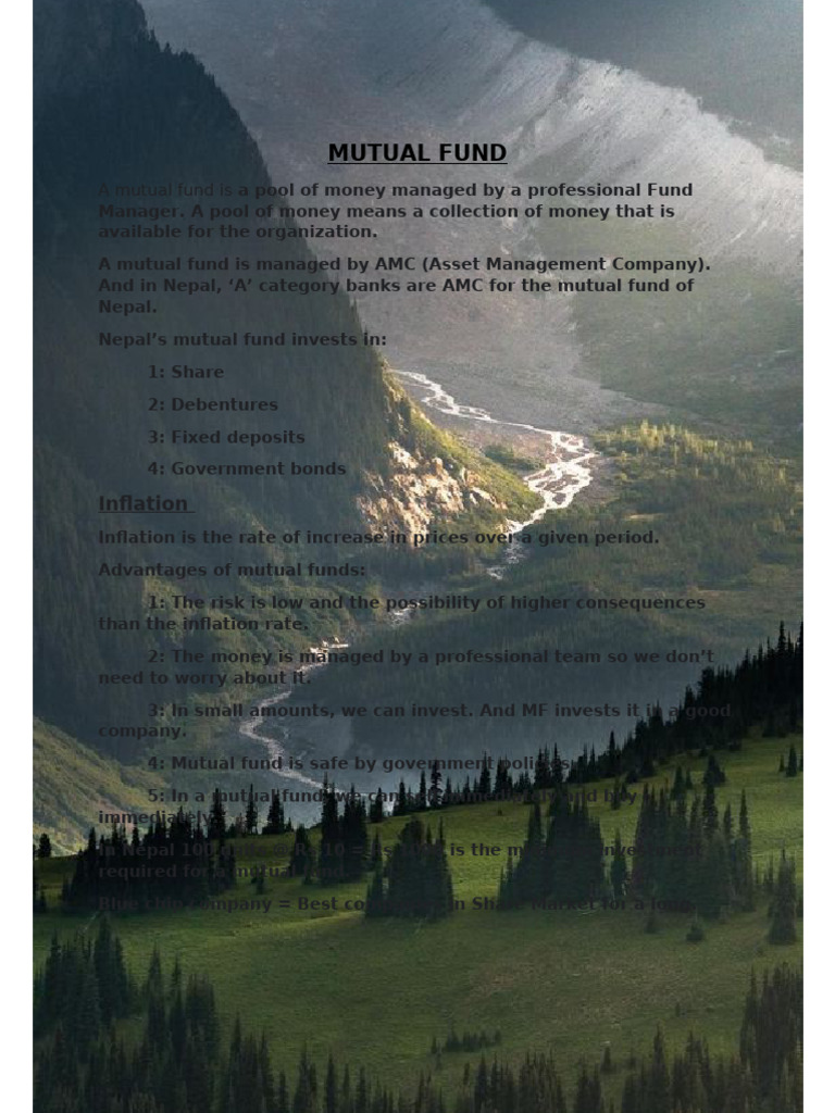 Mutual Fund | PDF