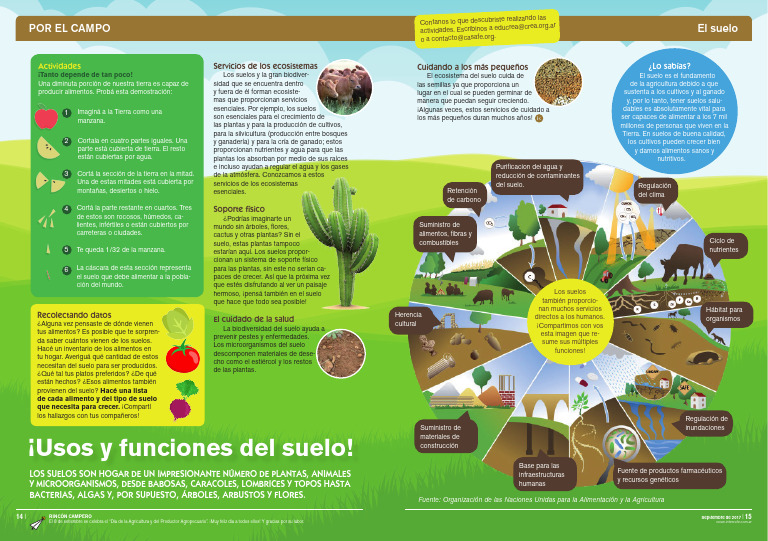 Nota-Las Funciones Del Suelo | PDF | Suelo | Agricultura