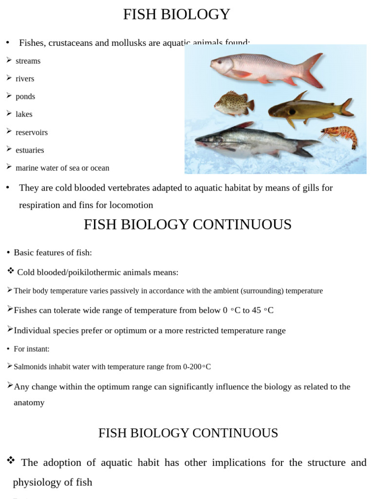 Fish Biology | PDF | Fish | Gill