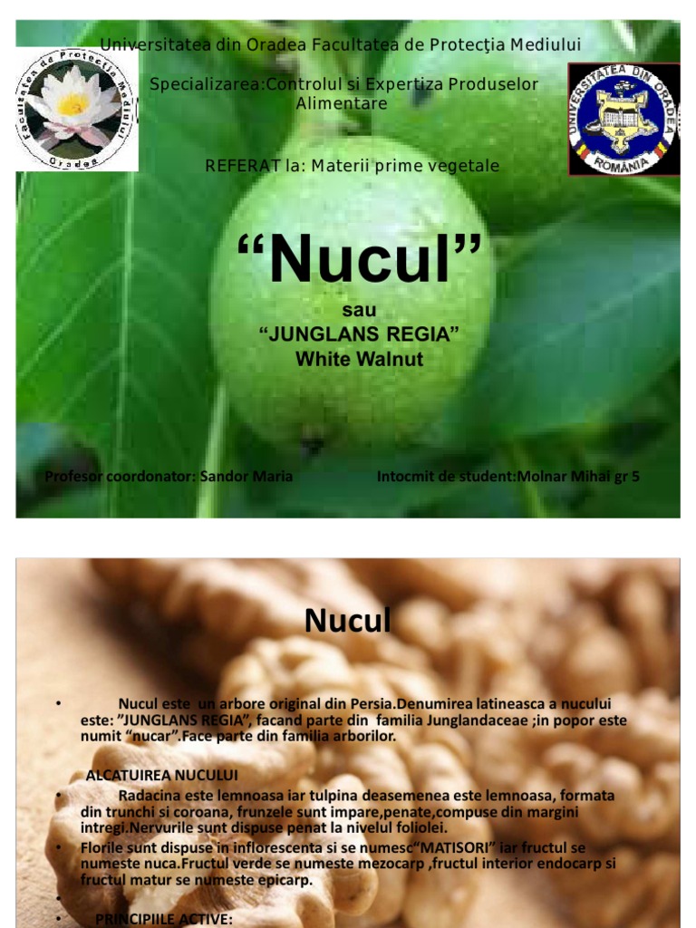 Nucul | PDF