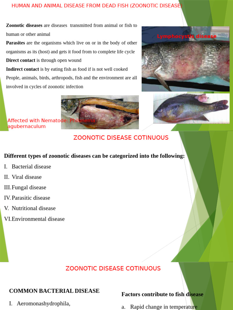 Zoonotic Diseases | PDF | Infection | Fish