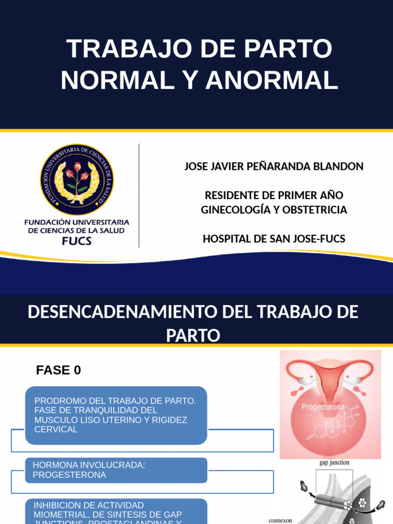Complemento Trabajo de Parto Normal y Anormal | PDF