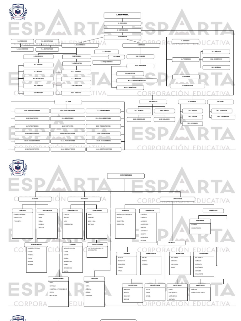Glosario Básico Esparta - Mapas | PDF | Plantas