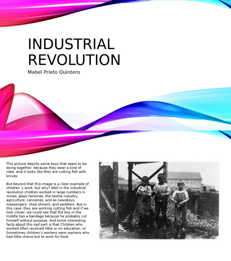 Industrial Revolution | PDF | Social Science | Technology & Engineering