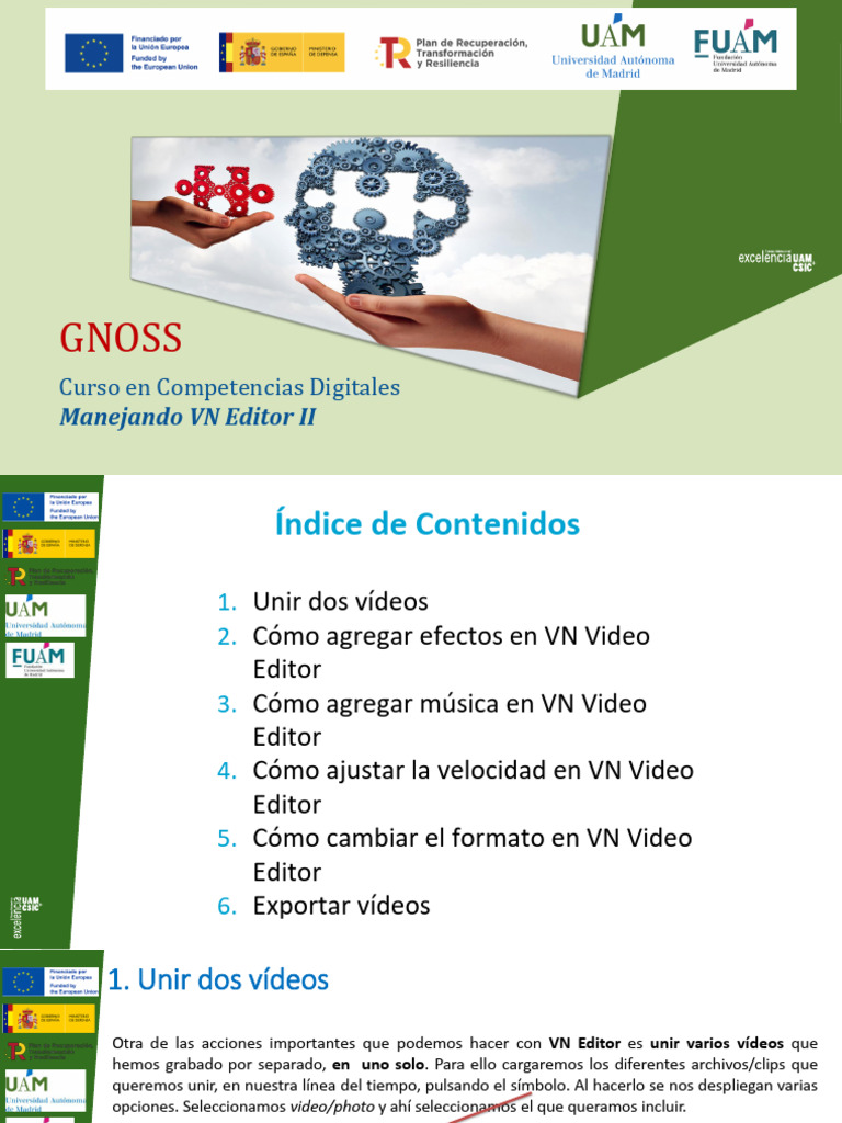 Manejando VN Editor II | PDF | Vídeo | Cuadros por segundo