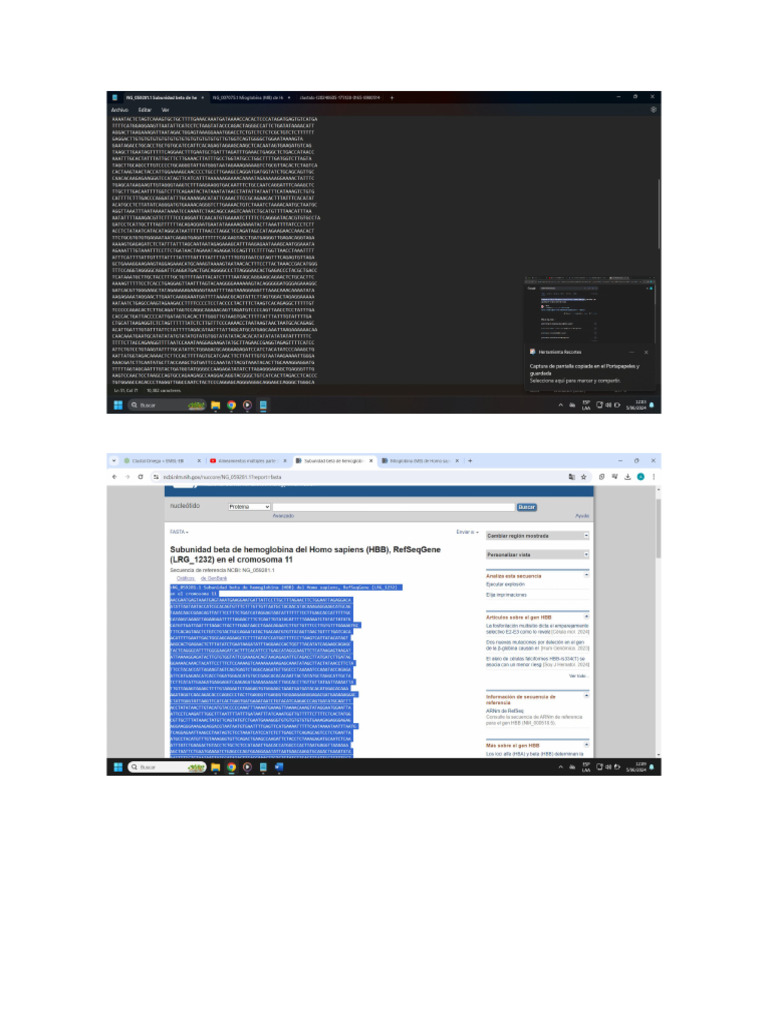 Tarea Biologia Molecular Hemoglobina | PDF | Molecular Biology | Life Sciences