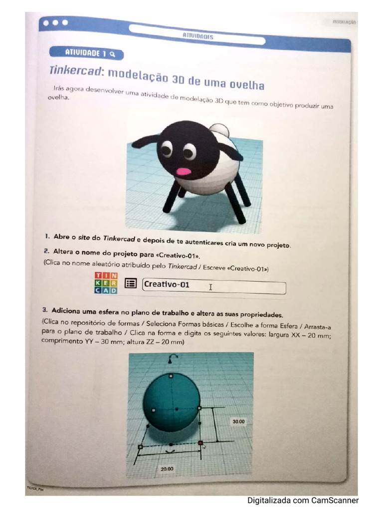 Atividade 1 - Ovelha | PDF