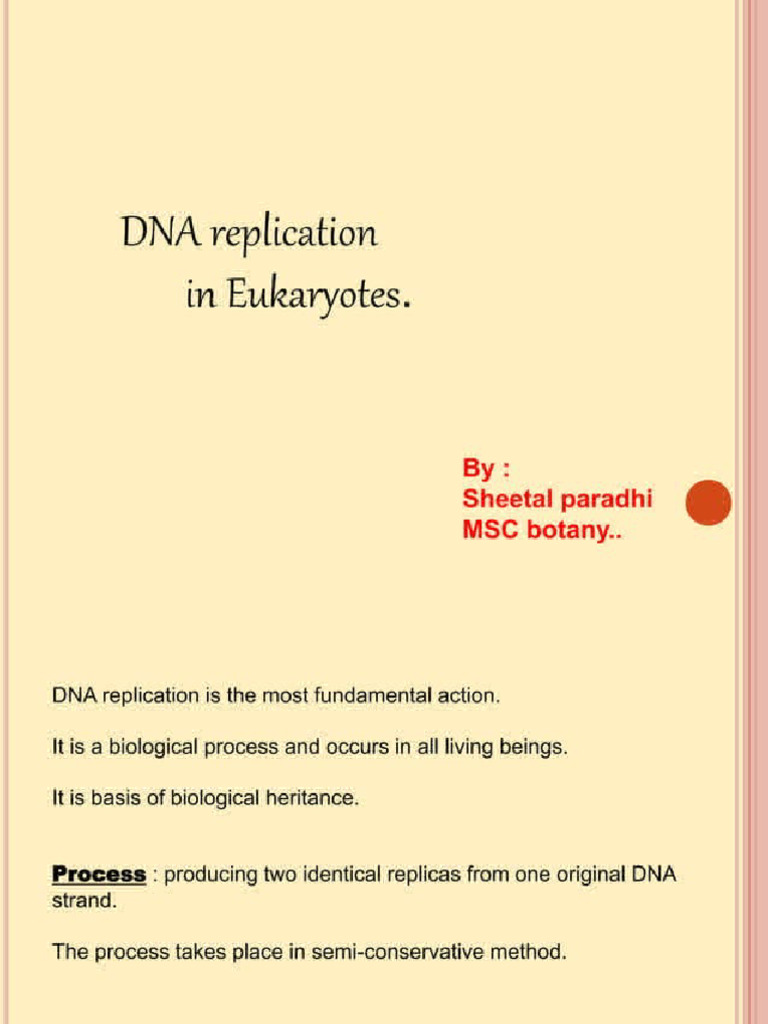 Eukaryotic Dna Repl | PDF