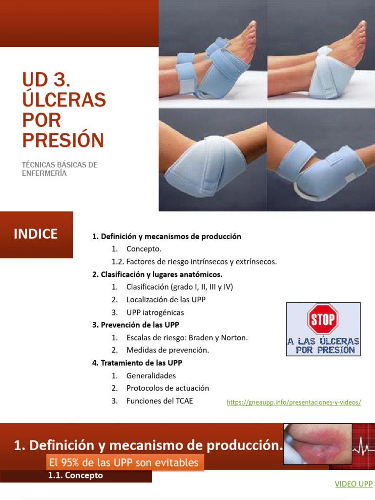Upp UD 3 | PDF | Piel | Especialidades Medicas