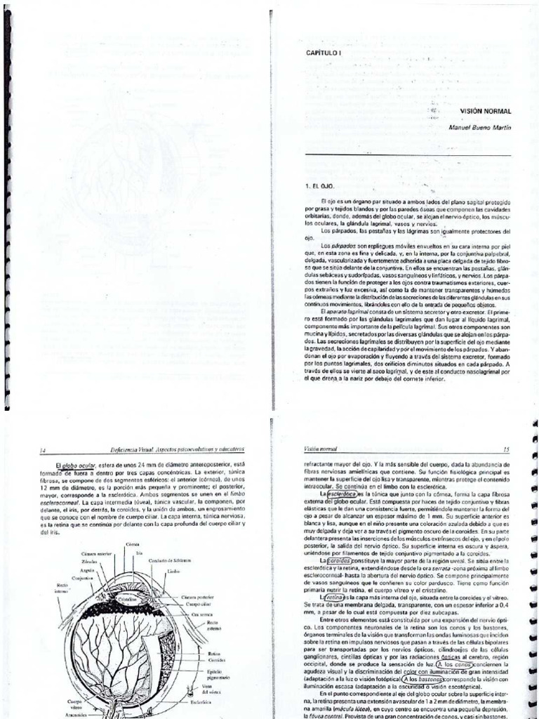 Visión Normal | PDF