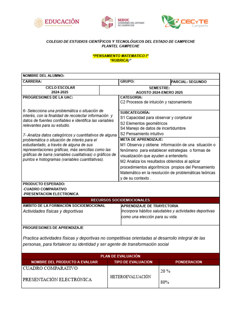 Formato de Instrumento de Evaluaci-N | PDF | Evaluación | Pensamiento