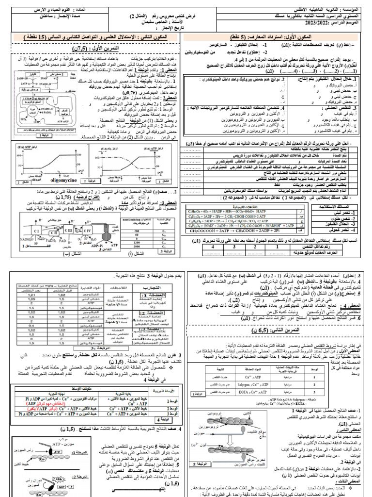 المثال 2 Svt | PDF