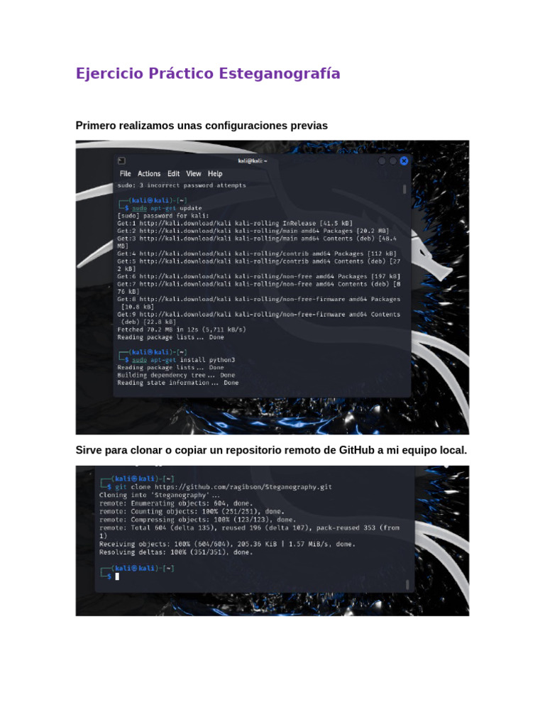 Ejercicio Practico Esteganografia | PDF | Informática