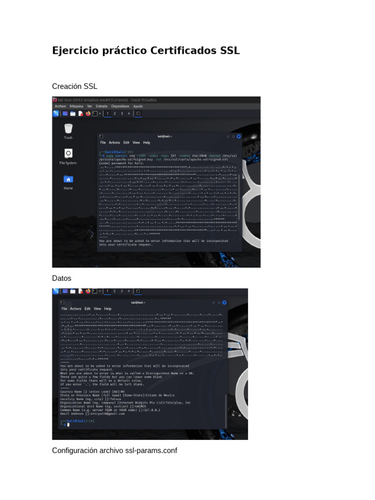 Certificados SSL | PDF | Informática