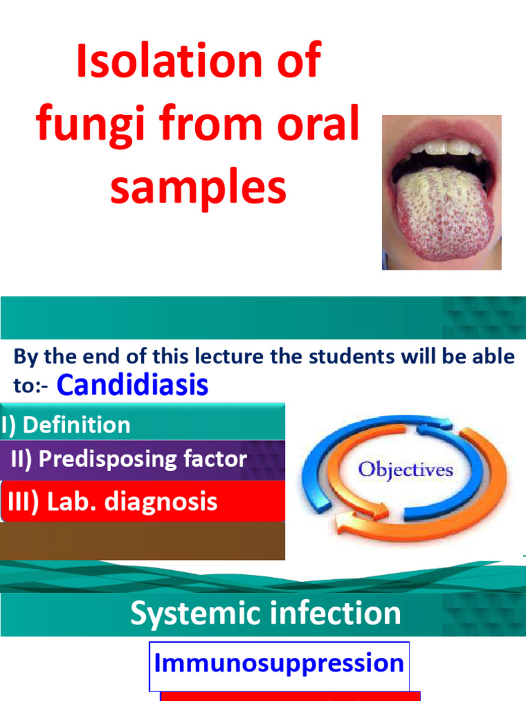 Fungi Isolation | PDF