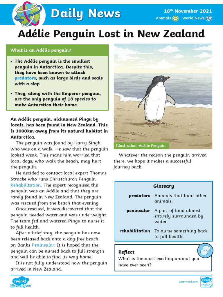 1a. Daily Article - Penguin Lost in New Zealand - LKS2 (7-9) | PDF ...