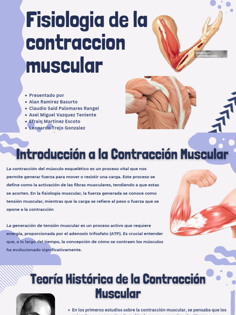 Fisiología de la Contracción Muscular | PDF | Contracción muscular ...
