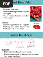 Specialised Animal Cells - Living Organisms - KS3 Biology - BBC ...