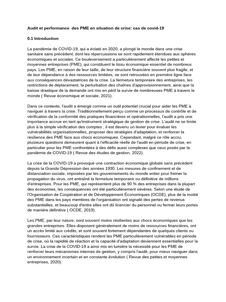 Audit Et Performance | PDF | Audit | Petite ou moyenne entreprise