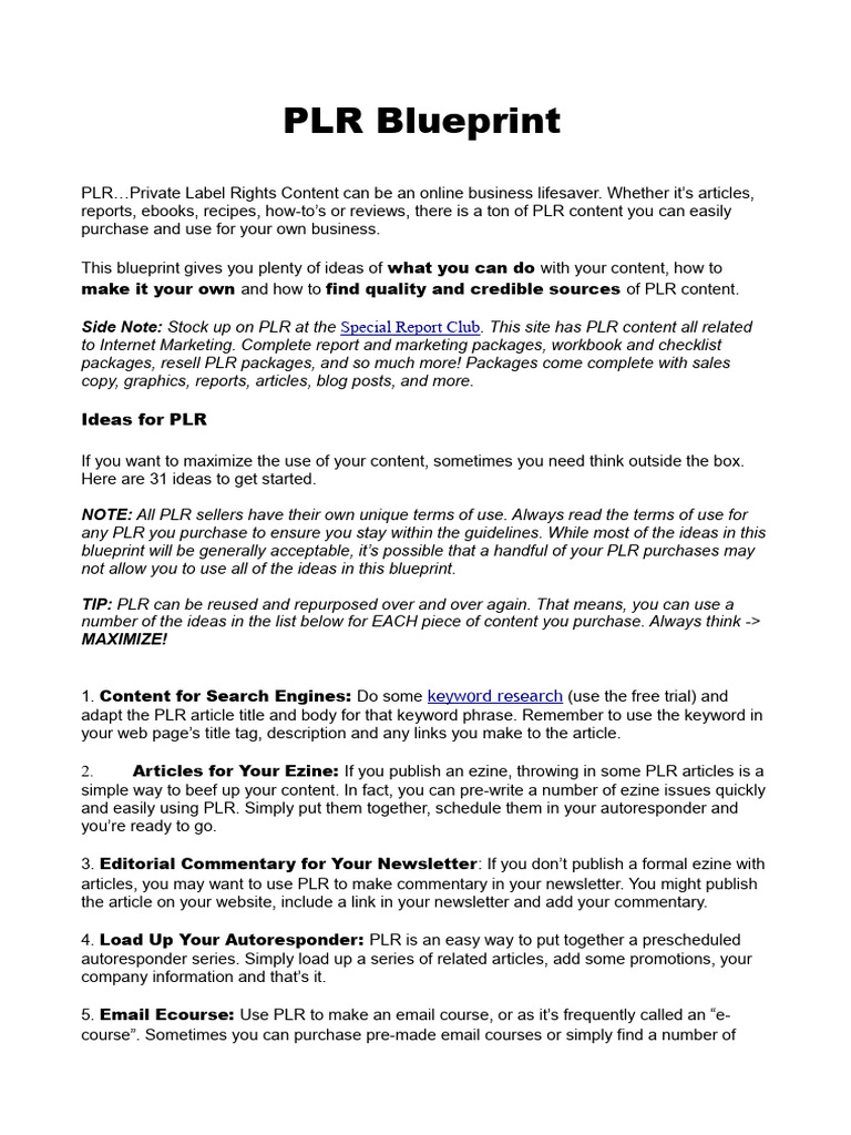 plr-blueprint | PDF | Word Press