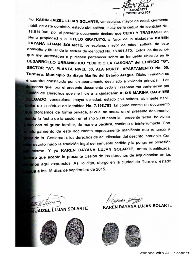 ACE Scanner - 2024 - 11 - 0295 | PDF