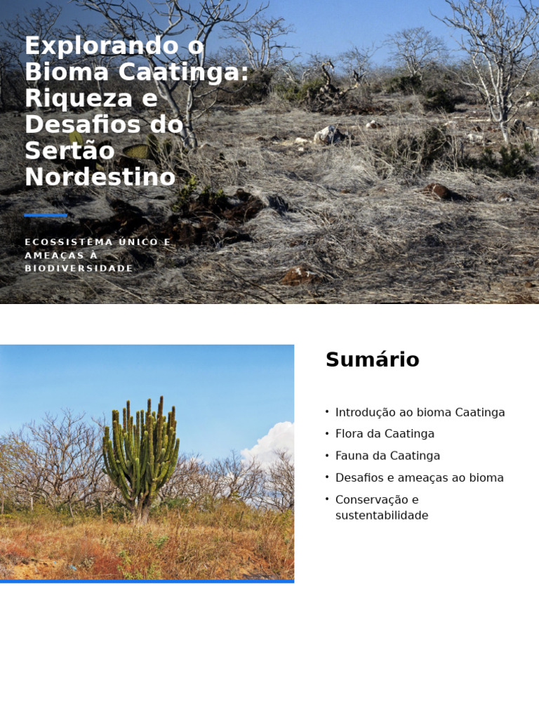 Bioma Caatinga | PDF | Agricultura | Biodiversidade